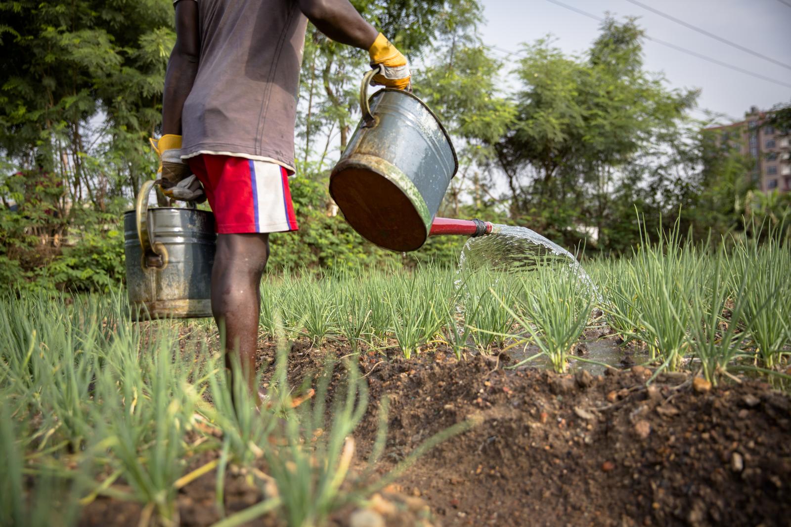 The effects of major economies’ policies on climate action, food ...