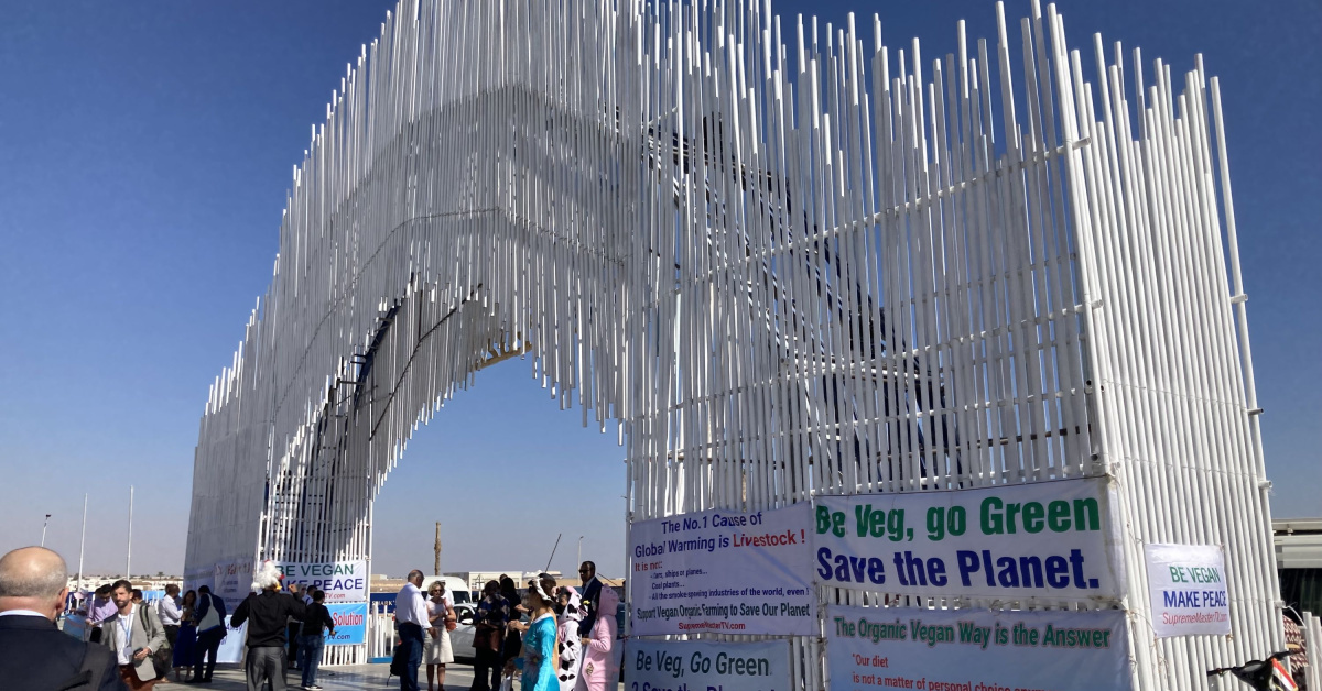 Food systems at COP27: Not enough money, but plenty of energy - ECDPM