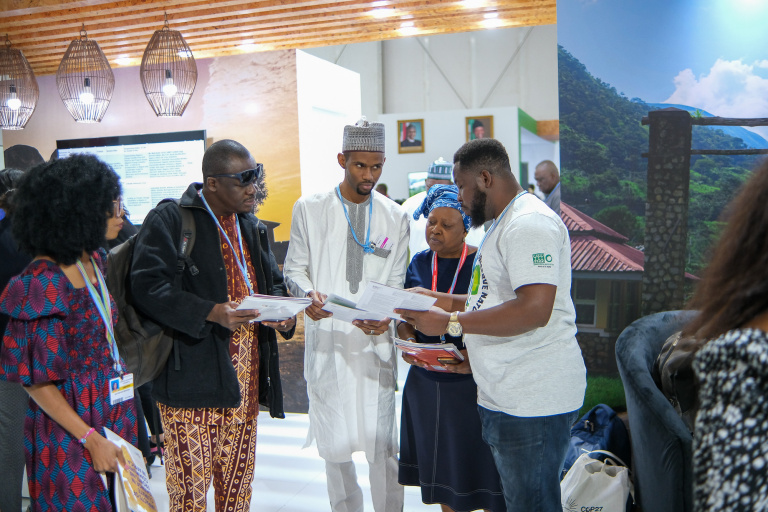 Local action for climate adaptation: How multilevel governance can help – ECDPM