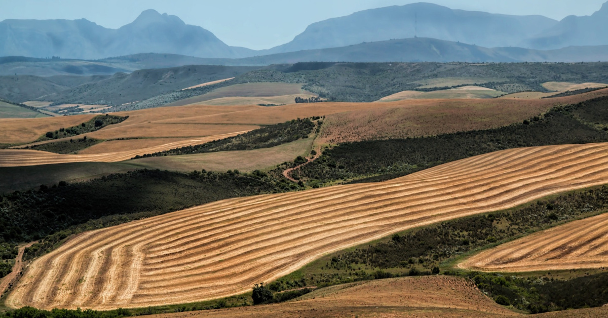 The role of Europe in building system-wide resilience to cross-border ...